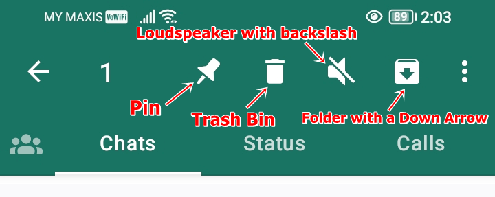 Meanings of Various WhatsApp Symbols and Icons (Explained)